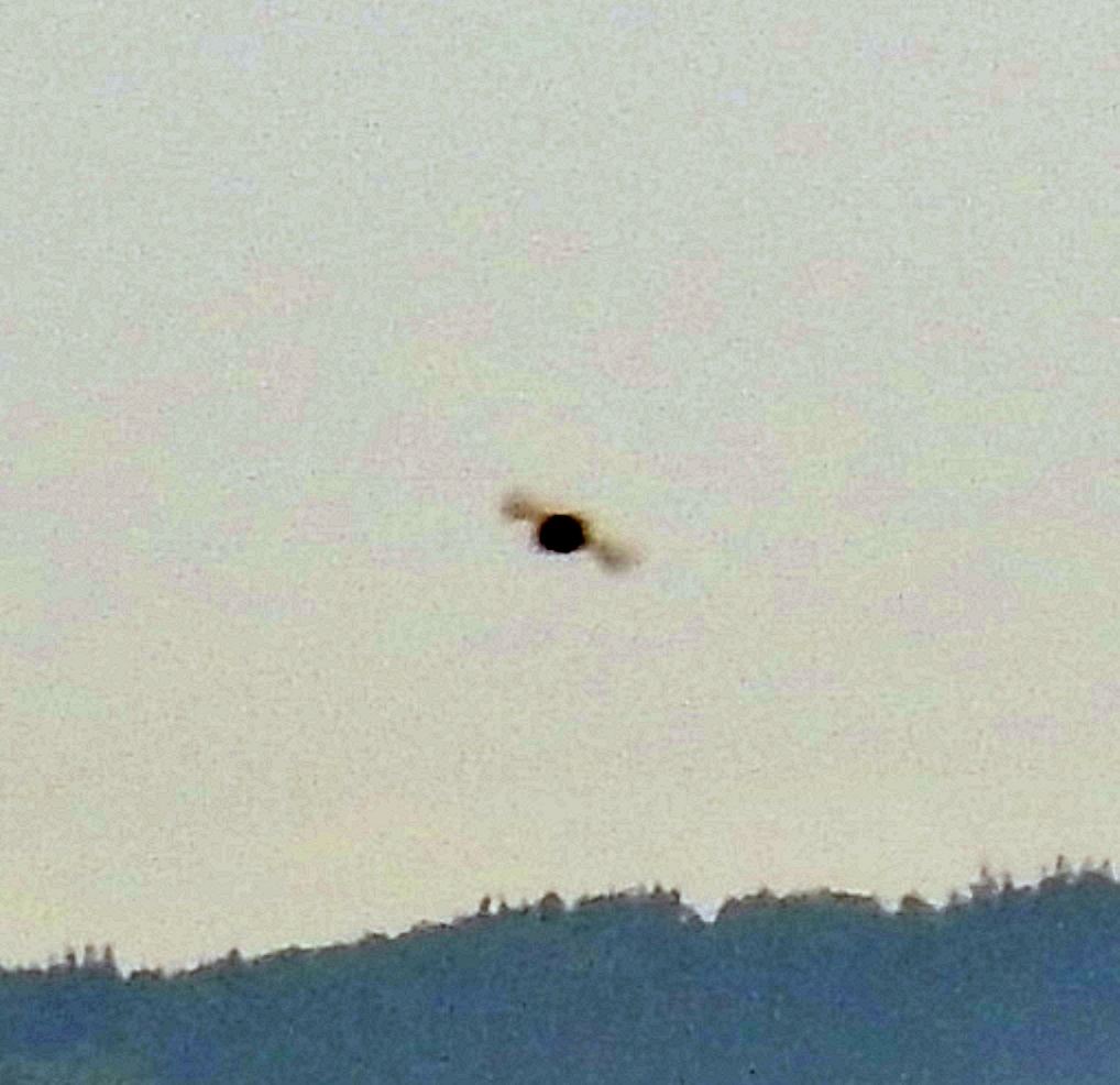 My Dawlish Warren, Devon UK UFO and Alien Encounter by John Mooner 02 06 2016